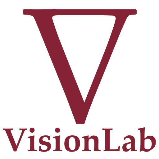 Digital Content Processing - Visionlab