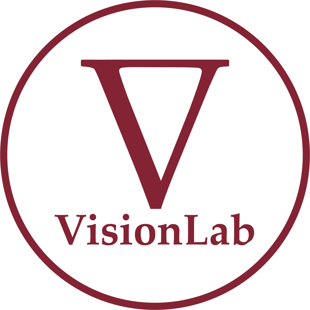 Welcome To Visionlab Visionlab